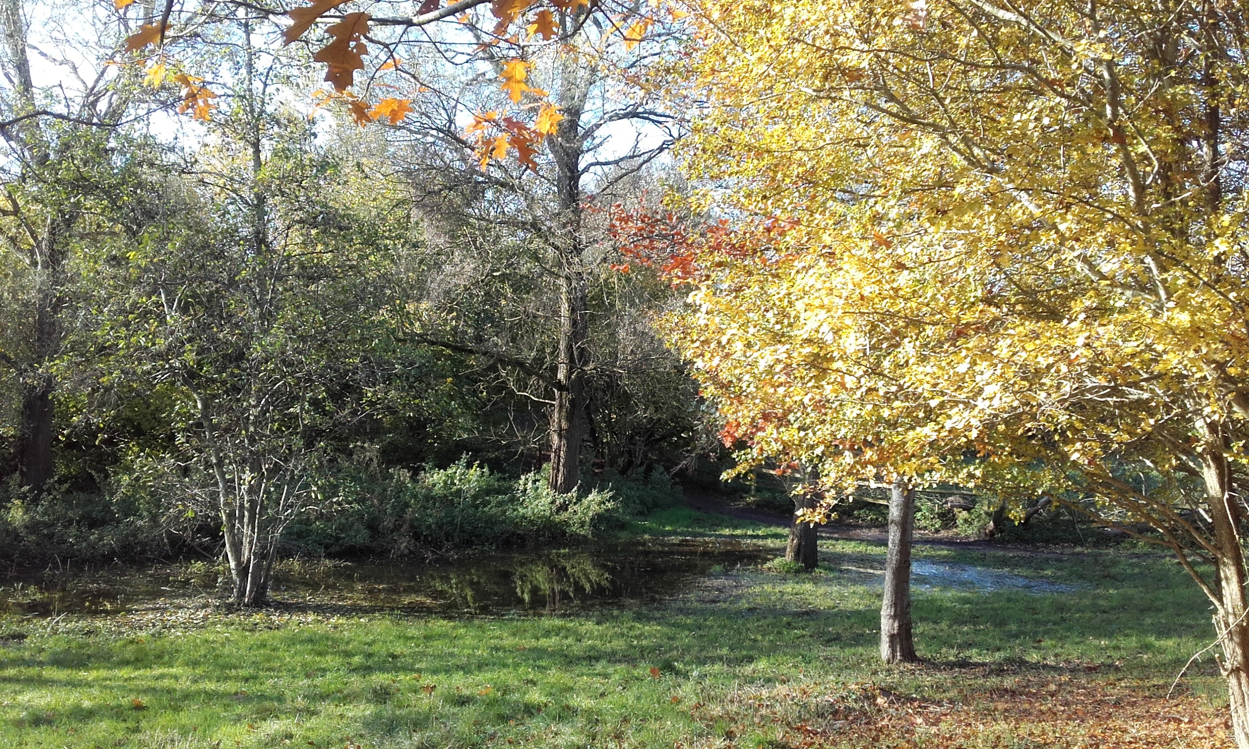 Autumn | The Friends of Leap Valley
