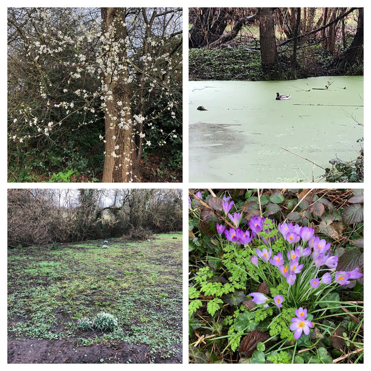 Our beautiful Valley yesterday | The Friends of Leap Valley