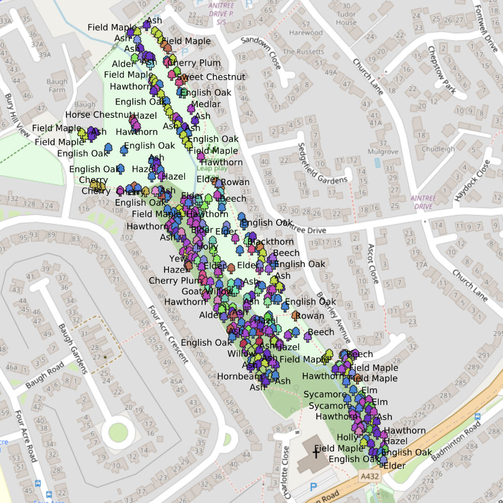 The Leap Valley Tree Map | The Friends of Leap Valley