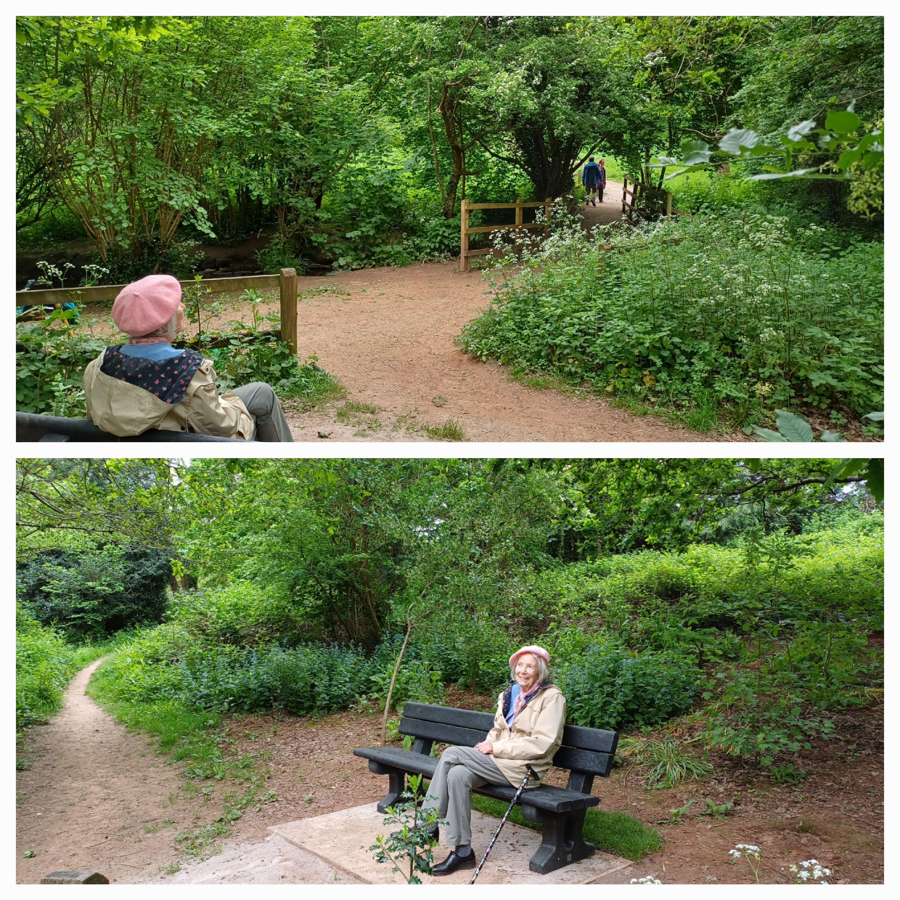 A NEW BENCH | The Friends of Leap Valley