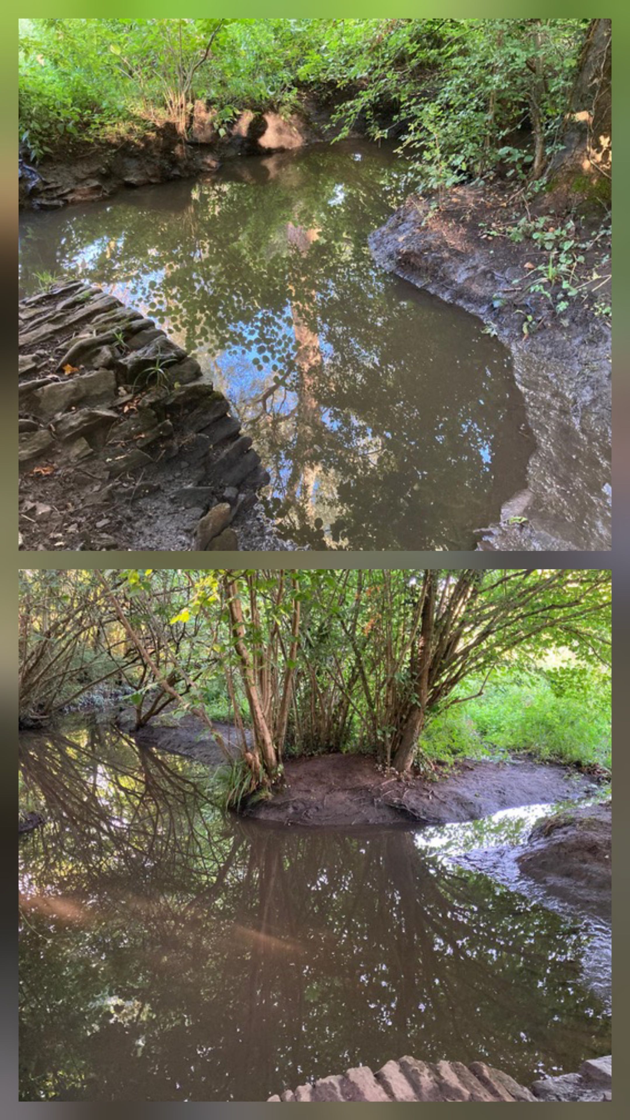 Higher water in the stream around The Stone Bridge | The Friends of ...